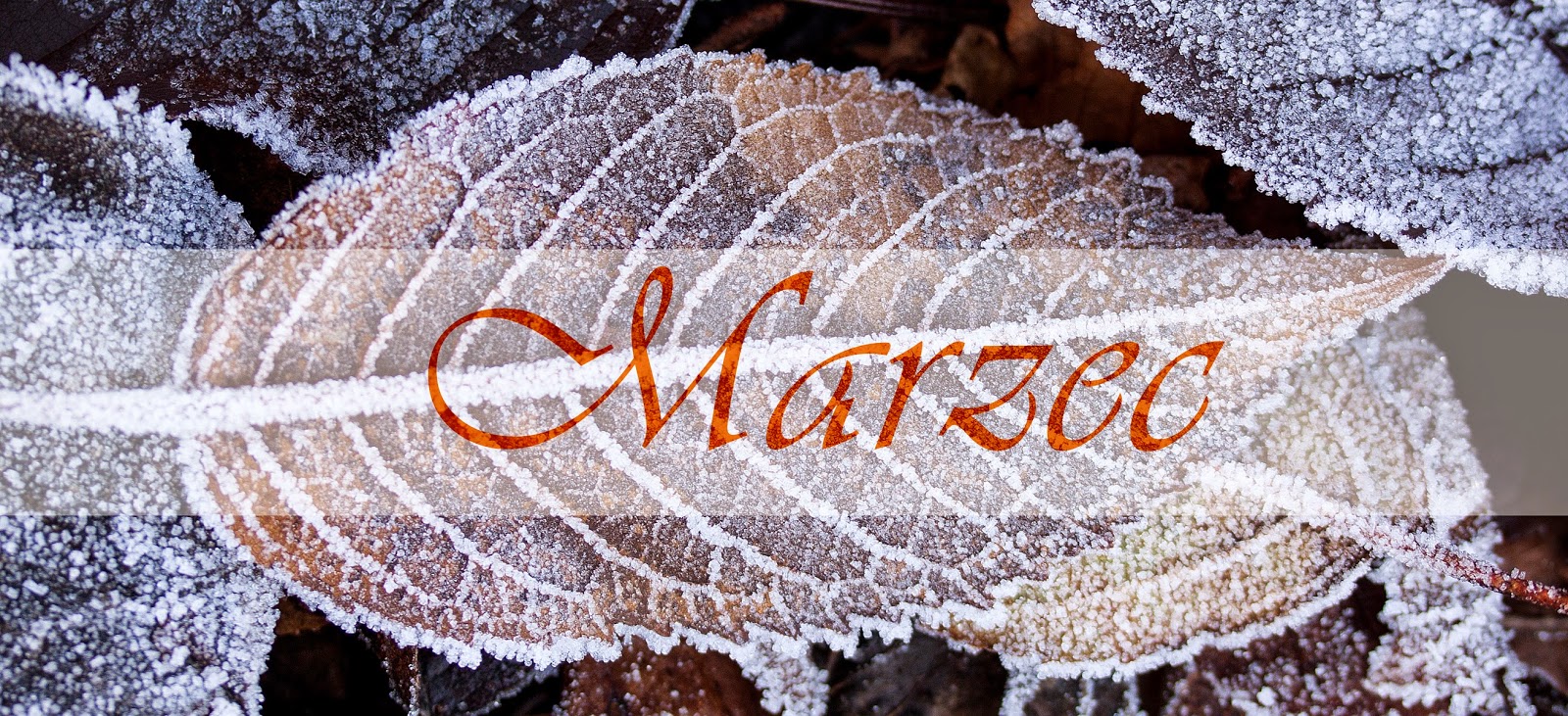 O polskich nazwach miesięcy